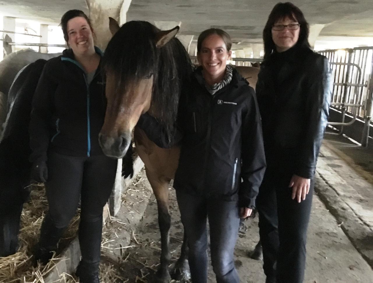 Besuch der Partner Pferd auf der Reitanlage und Islandpferdegestüt ...
